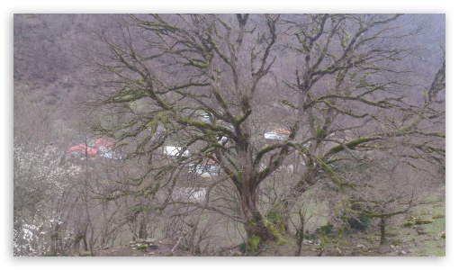 Dowran-Spring-Iran Ultra HD Wallpaper for 4K UHD TV & Desktop