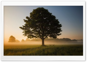 WallpapersWide.com : Latest 4K UHD Wallpapers for Widescreen and ...