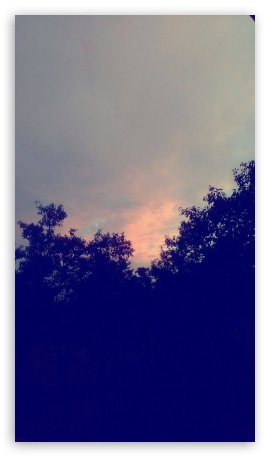 Trees, Sky Ultra HD Desktop Background Wallpaper for